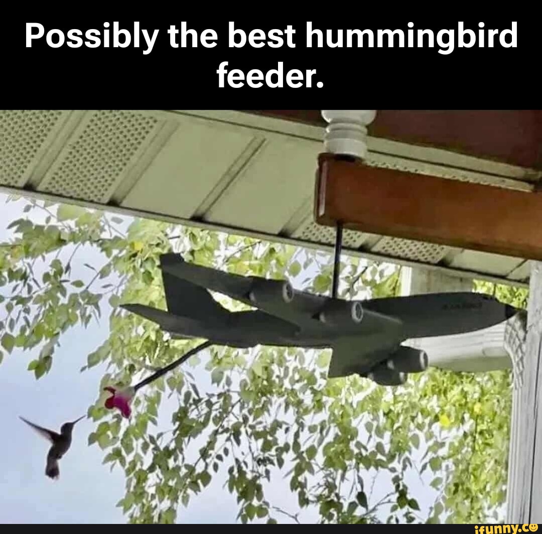 Feeder memes. Best Collection of funny Feeder pictures on iFunny