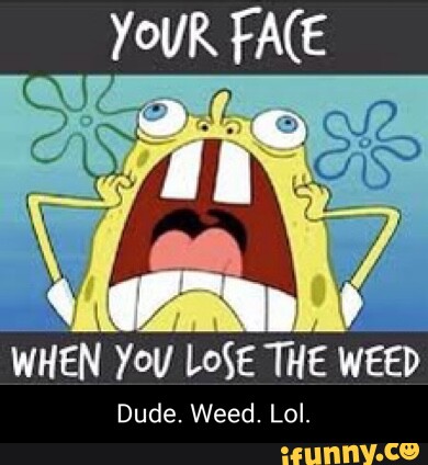 YouR FACE ah WHEN You LoSe THE WEED Dude. Weed. Lol. - iFunny