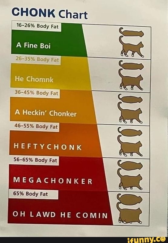 CHONK Chart ES 16-26% Body fat Fine Boi 26-35% Body Fat He Chommk 36-45 ...