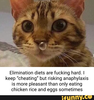 Anaphylaxis memes. Best Collection of funny Anaphylaxis pictures on iFunny