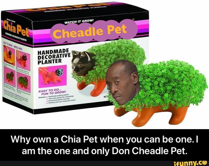 Chiapet memes. Best Collection of funny Chiapet pictures on iFunny