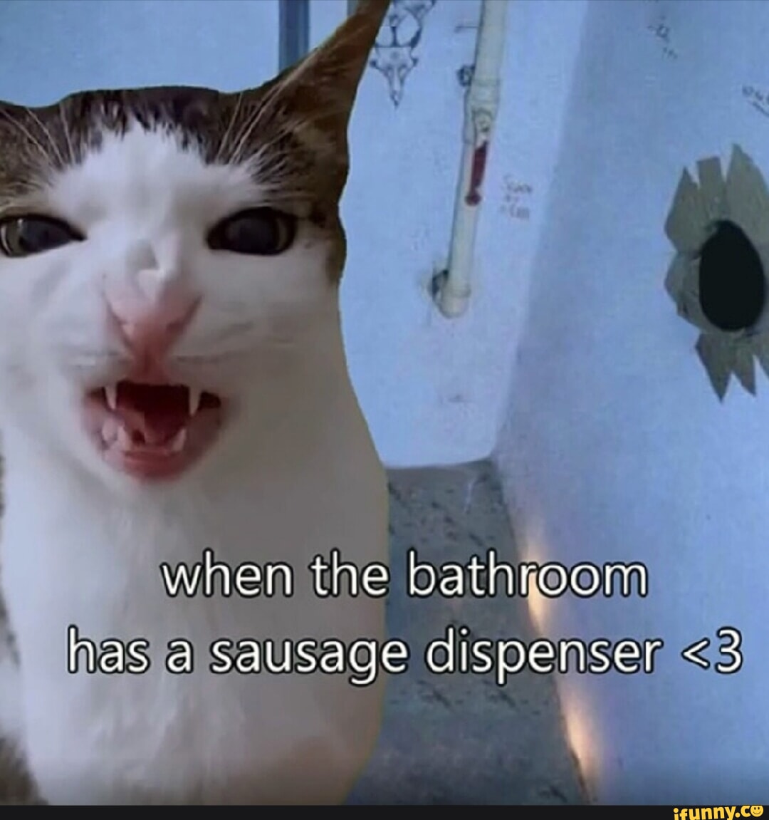 When the bathroom sausage dispenser