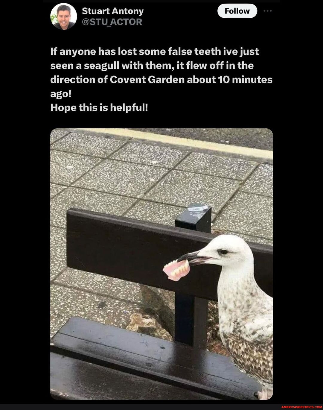 Thief!!! (Twitter: STU_ACTOR) - Stuart Antony @STU_ ACTOR If anyone has ...