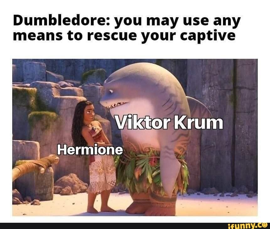 Wiktor memes. Best Collection of funny Wiktor pictures on iFunny