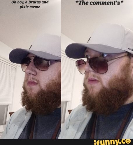 'OR boy, Brutus and "The comment's* pixie meme - iFunny