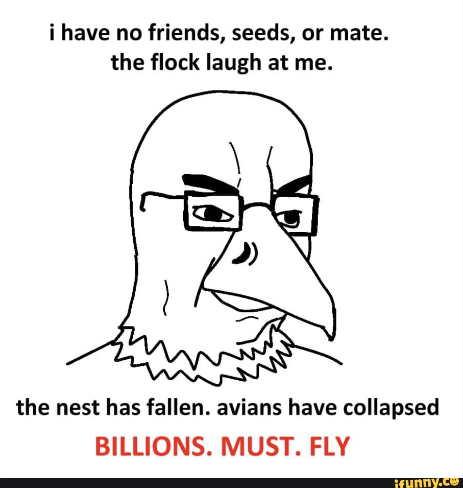 Avians memes. Best Collection of funny Avians pictures on iFunny