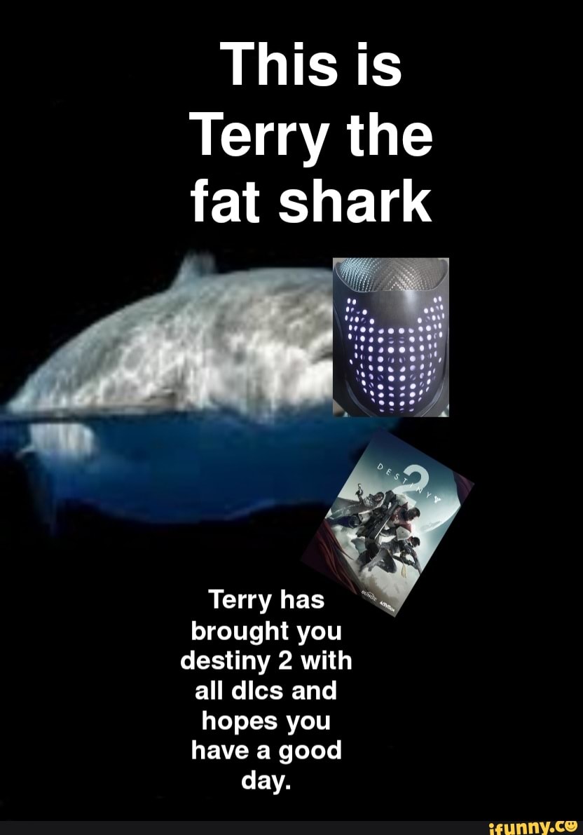 This is Terry the fat shark Terry has brought you destiny 2 with all ...