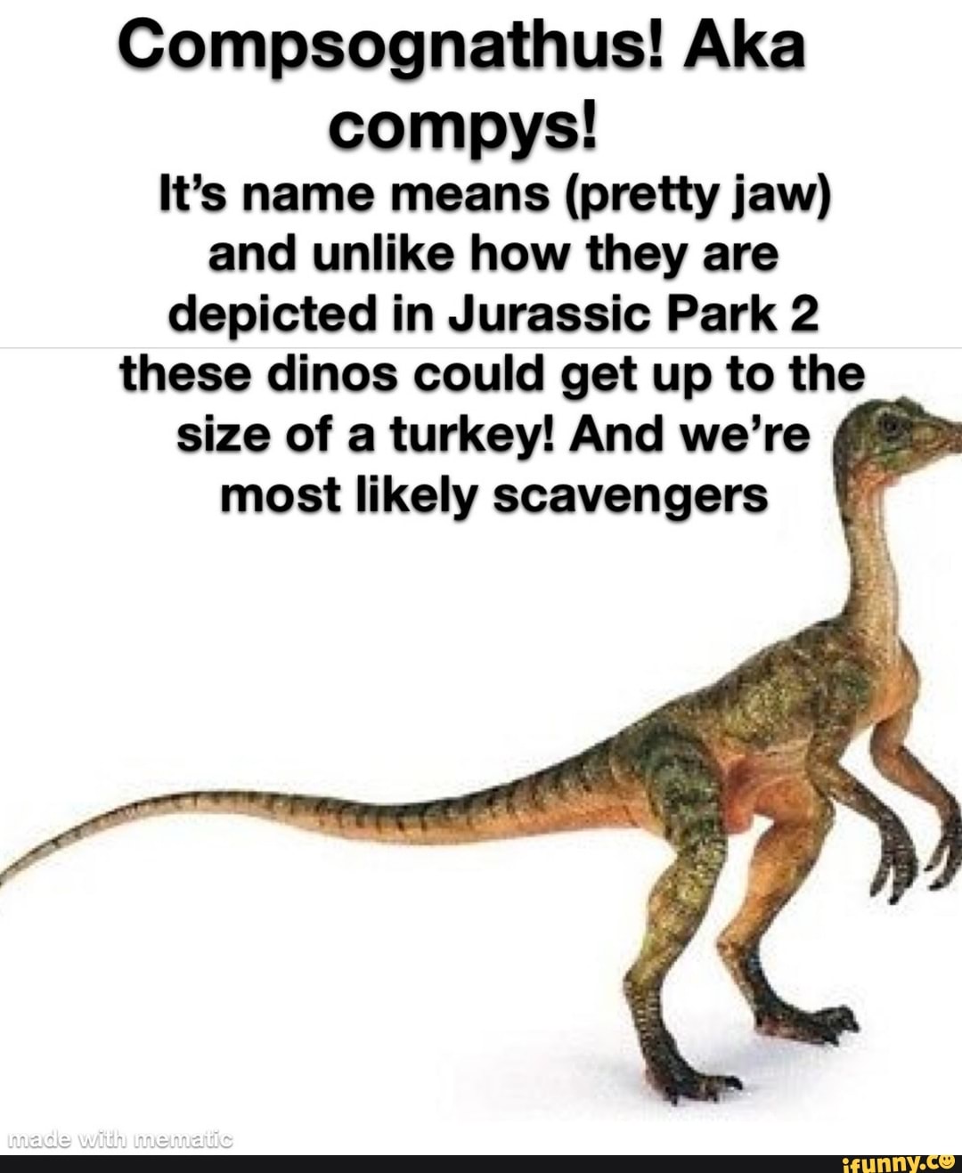 Compsognathus! Aka compys! It's name means (pretty jaw) and unlike how ...