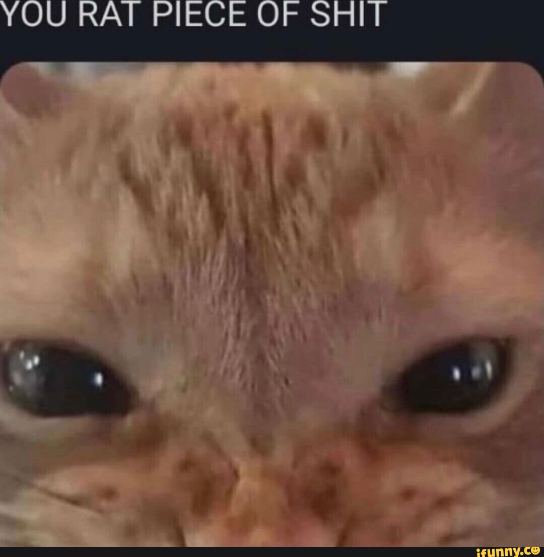 Rizz cake The Famous Ritz Carlton Hotel 1920's Tea Room Lemon Pound ...