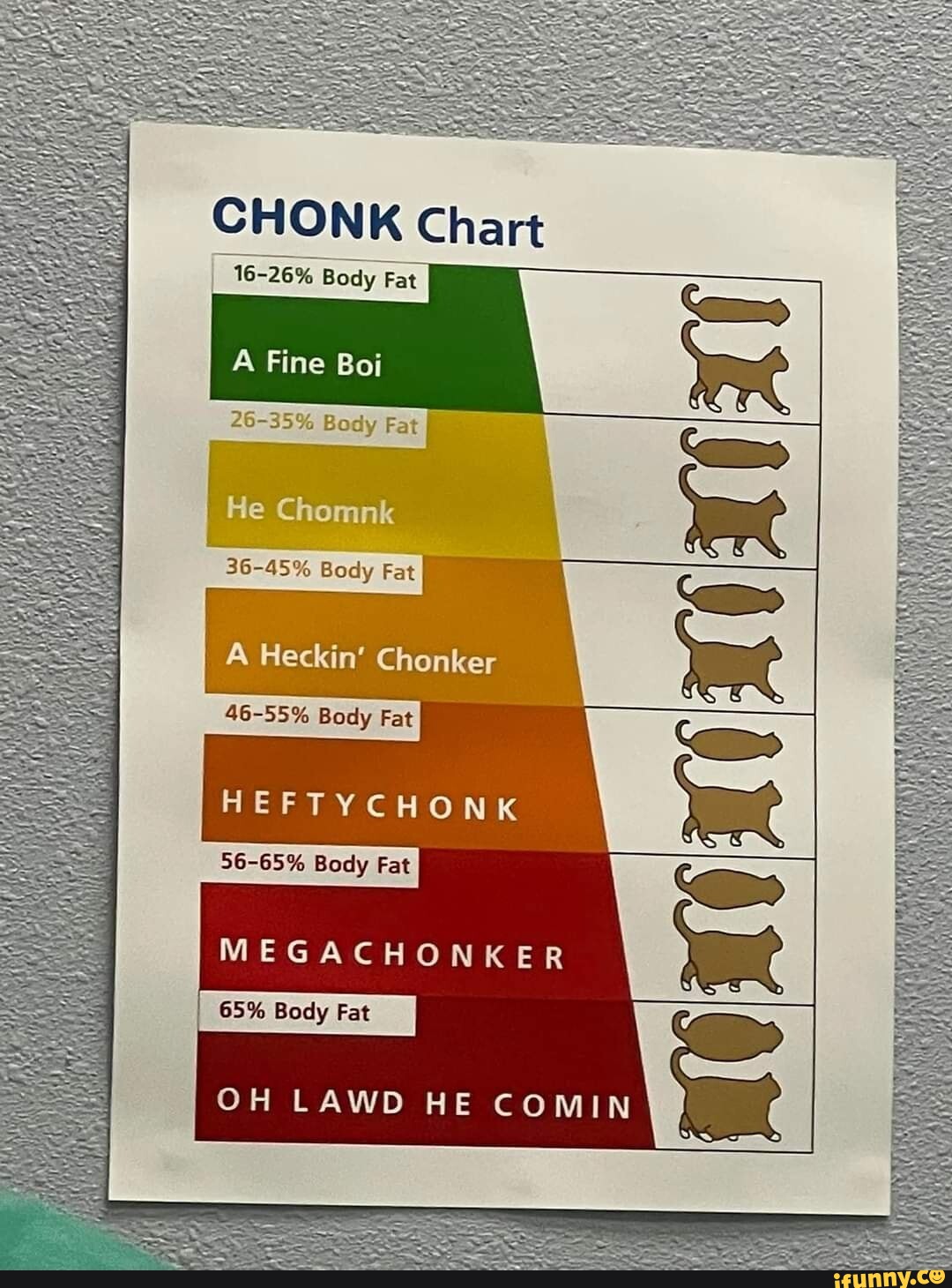 Megachonker memes. Best Collection of funny Megachonker pictures on iFunny