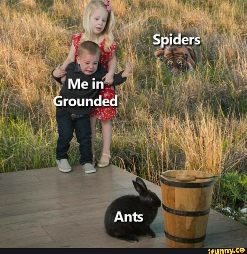 Spiders Me in Grounded Ants - iFunny