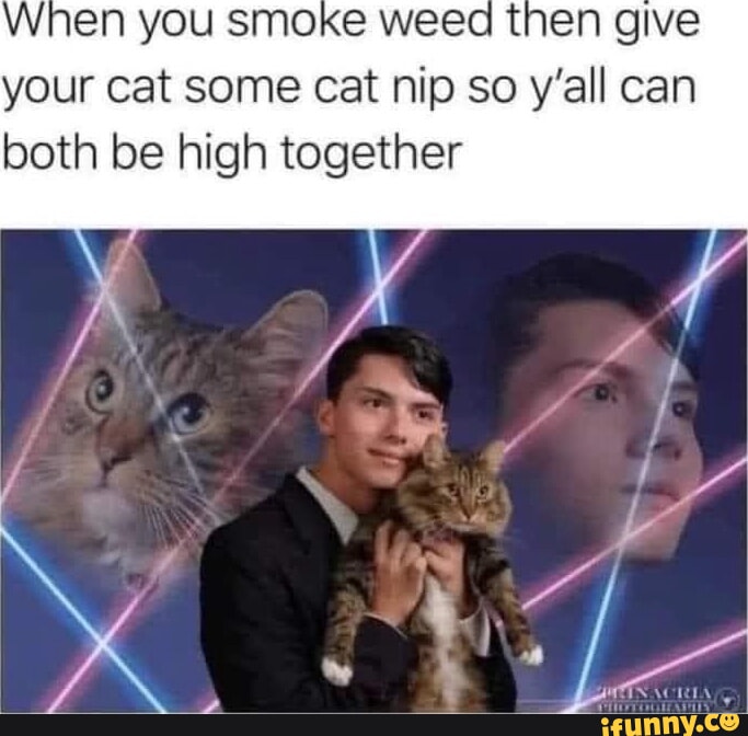 Smoke memes. Best Collection of funny Smoke pictures on iFunny
