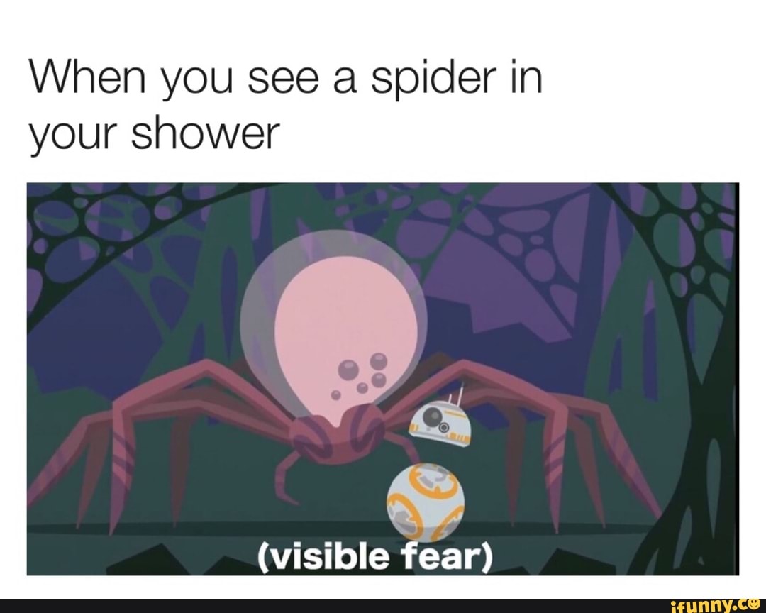 When you see a spider in your shower - iFunny