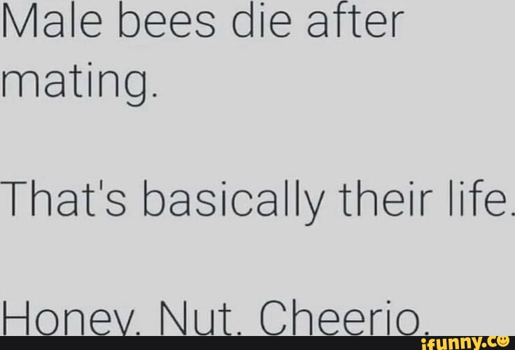 Mating memes. Best Collection of funny Mating pictures on iFunny