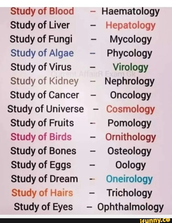 Mycology memes. Best Collection of funny Mycology pictures on iFunny