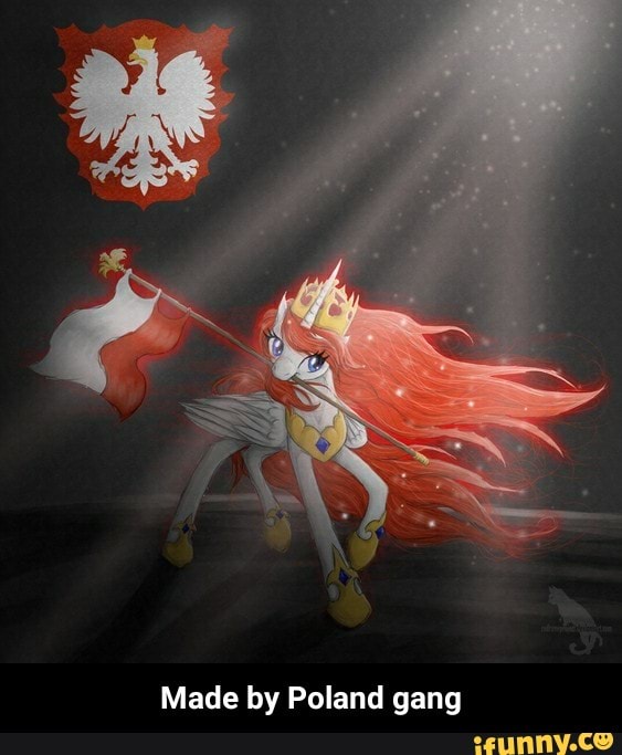 Made by Poland gang - Made by Poland gang - iFunny