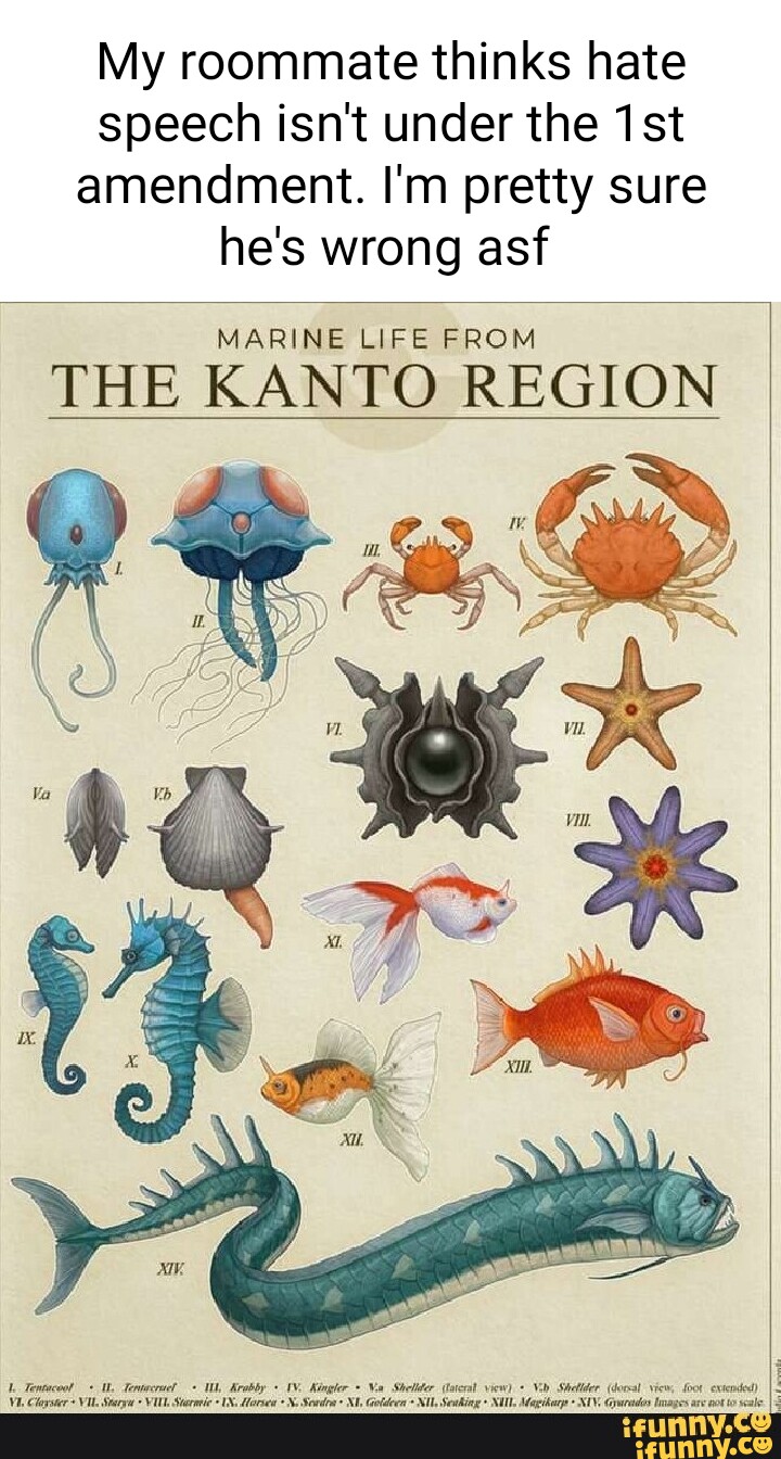 Kingler memes. Best Collection of funny Kingler pictures on iFunny