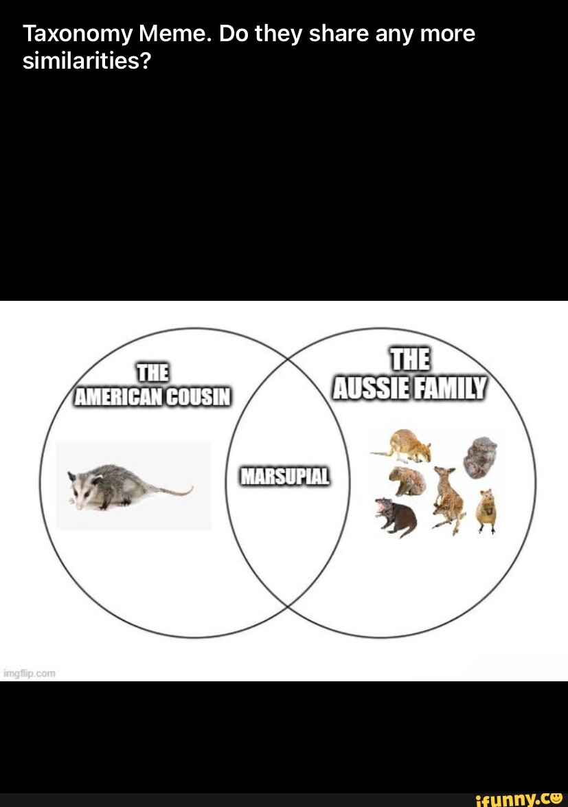 Taxonomy Meme. Do they share any more similarities? THE} AUSSIE FAMILY ...