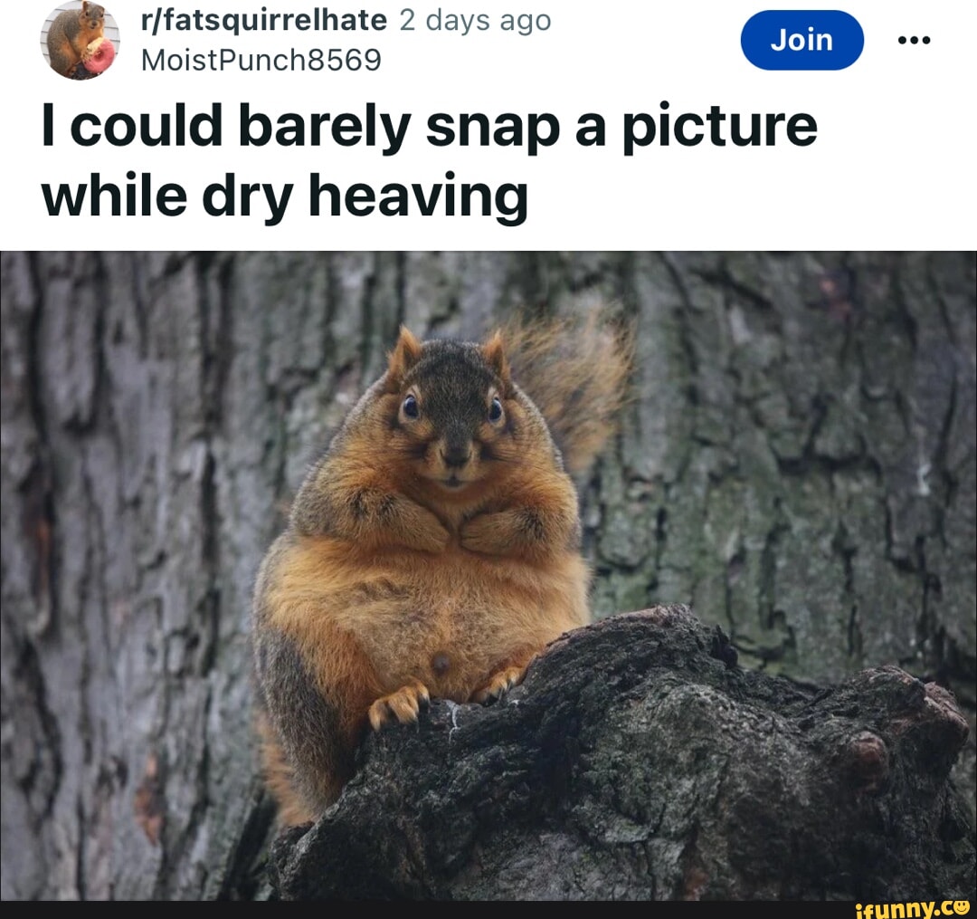 \ Oklahoma Department of Wildlife Go... stranger: is this snake ...