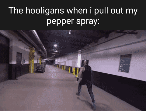 The hooligans when i pull out my pepper spray: - iFunny