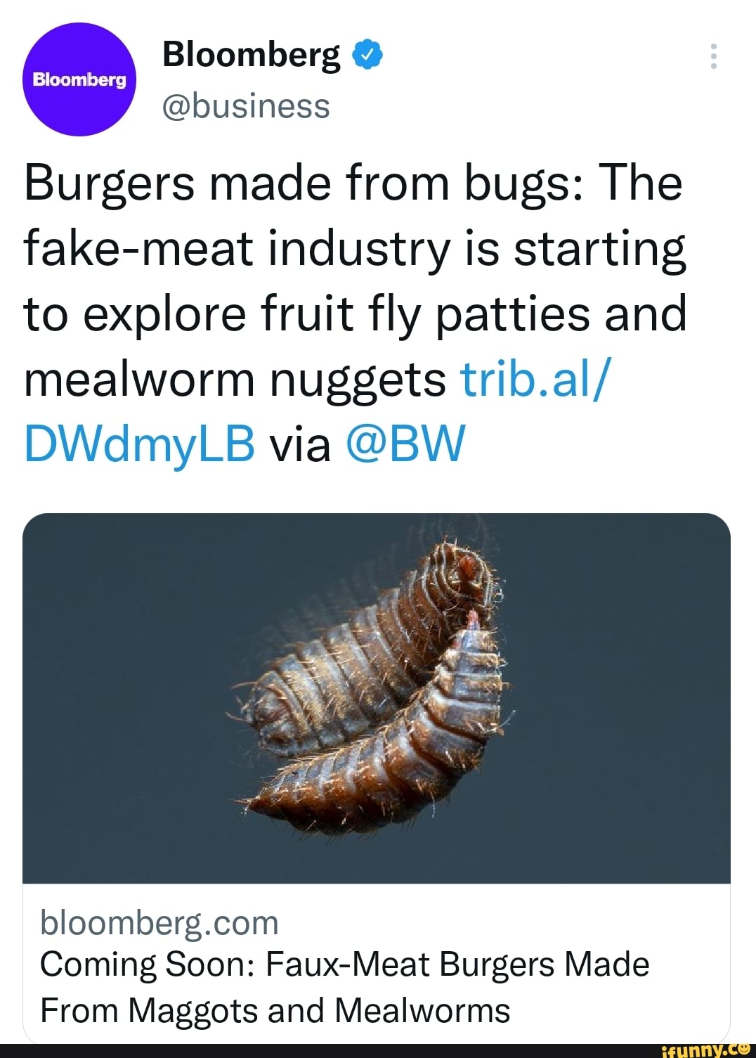 SS Bloomberg @business @ @business Burgers made from bugs: The fake ...