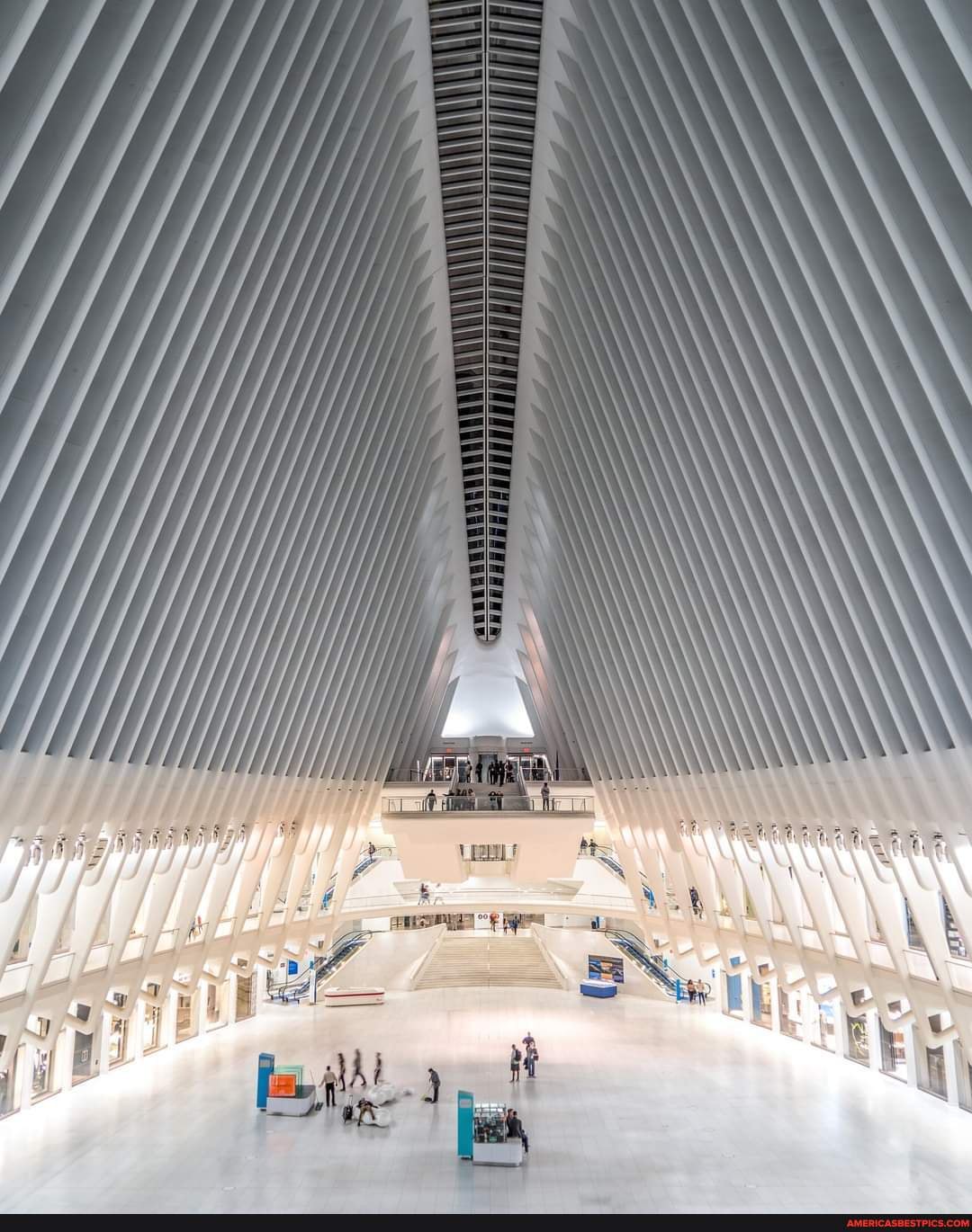 Have you visited the Oculus? NYC's new public transport hub that was ...
