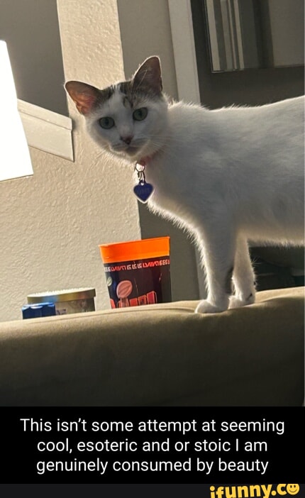 Stoic memes. Best Collection of funny Stoic pictures on iFunny