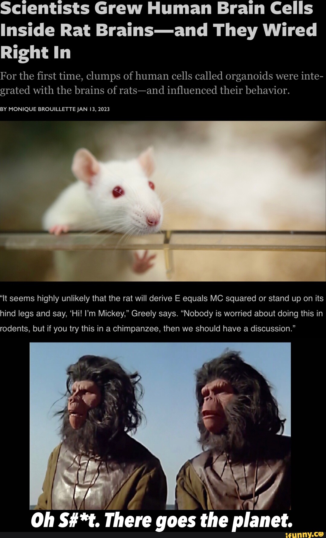Scientists Grew Human Brain Cells Inside Rat Brains-and They Wired ...