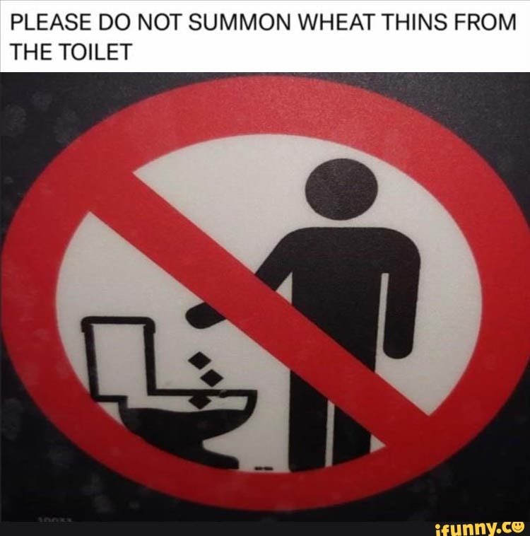 PLEASE DO NOT SUMMON WHEAT THINS FROM THE TOILET - iFunny