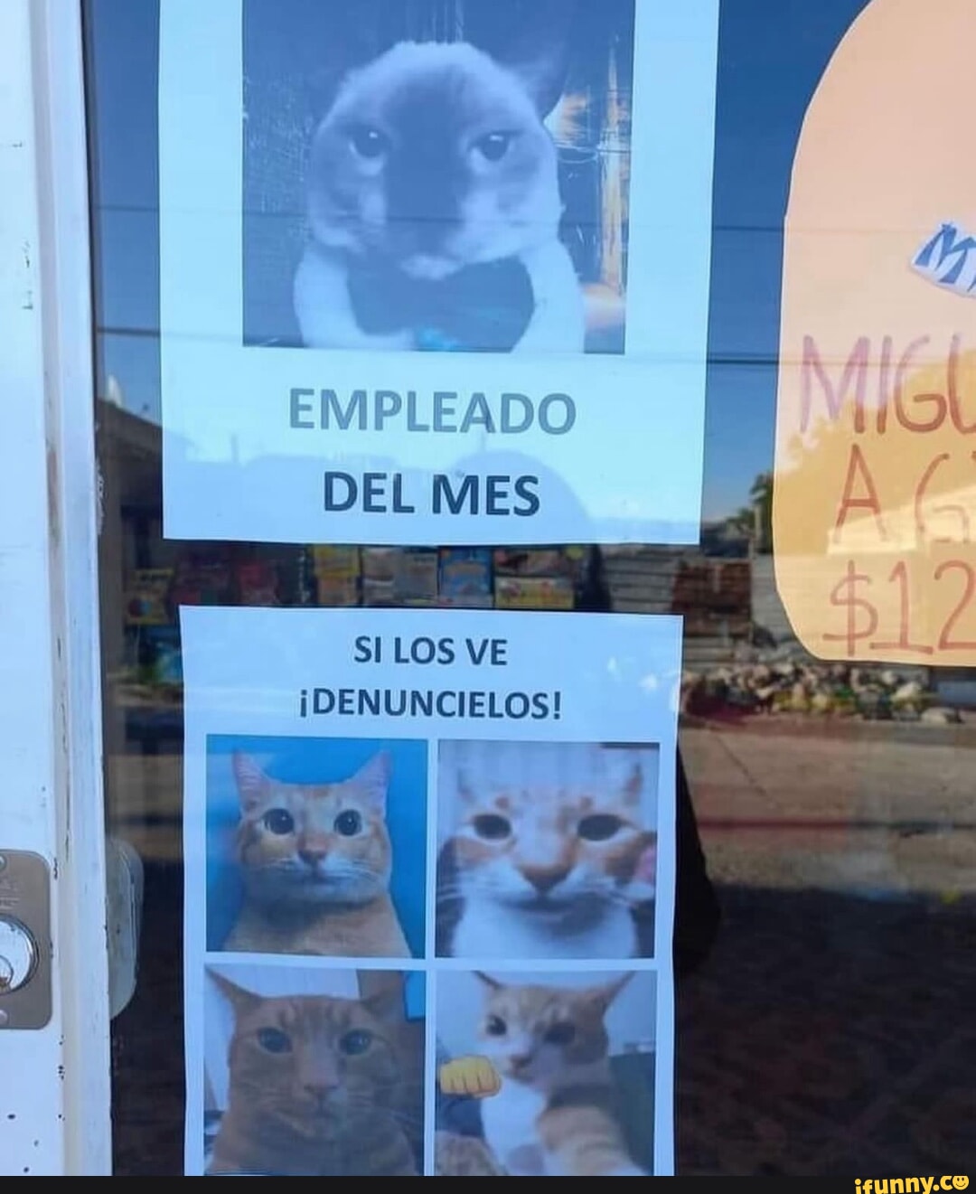Empleado memes. Best Collection of funny Empleado pictures on iFunny