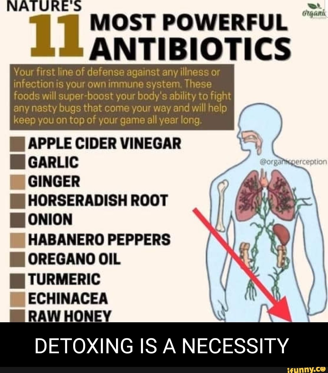 NATU 11 MOST POWERFUL ANTIBIOTICS ANTIBIOTICS Your first line of ...