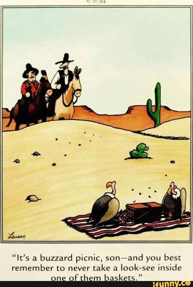 Buzzard memes. Best Collection of funny Buzzard pictures on iFunny