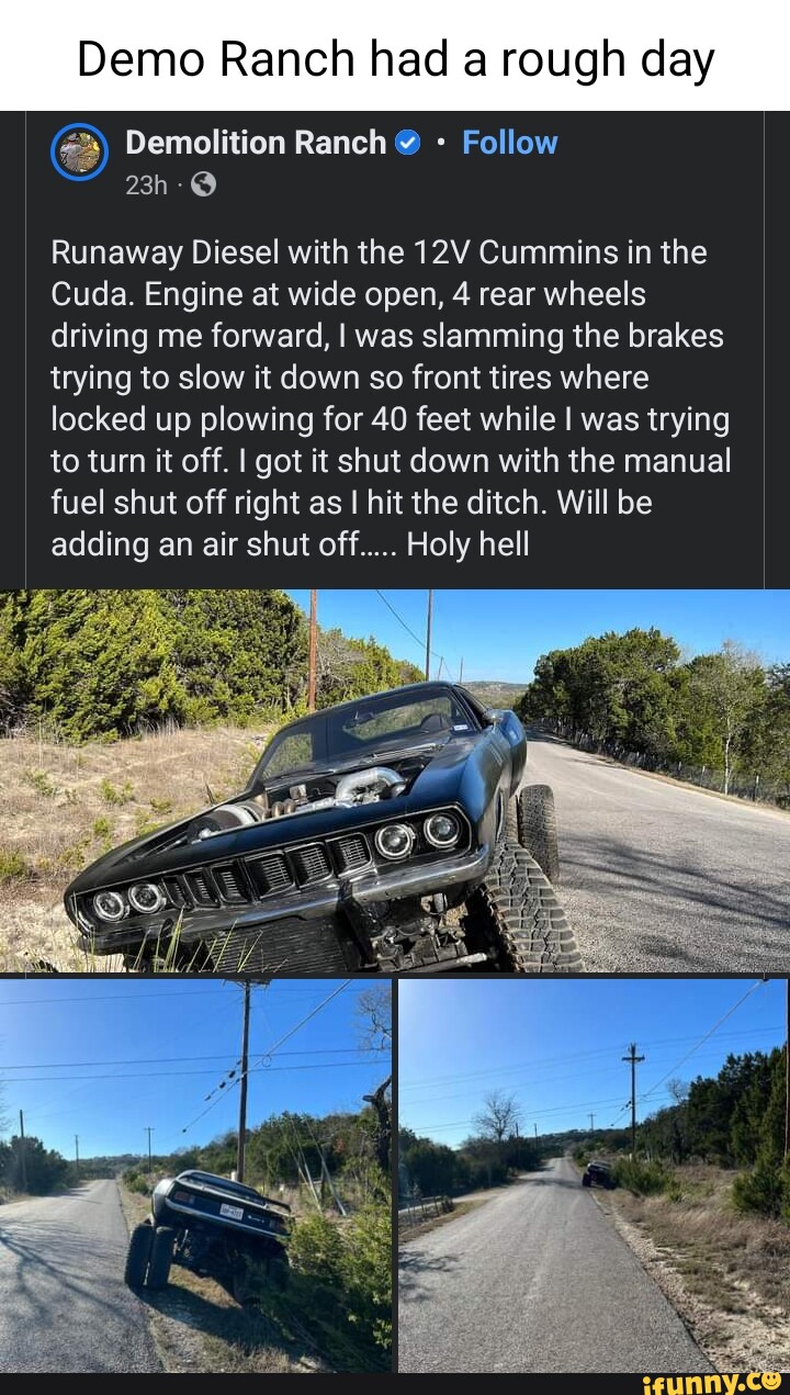 A dun colored Clydesdale with this much muscle on it could carry a ...