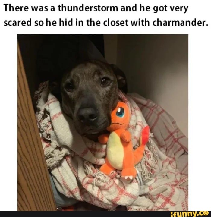 There was a thunderstorm and he got very scared so he hid in the closet ...