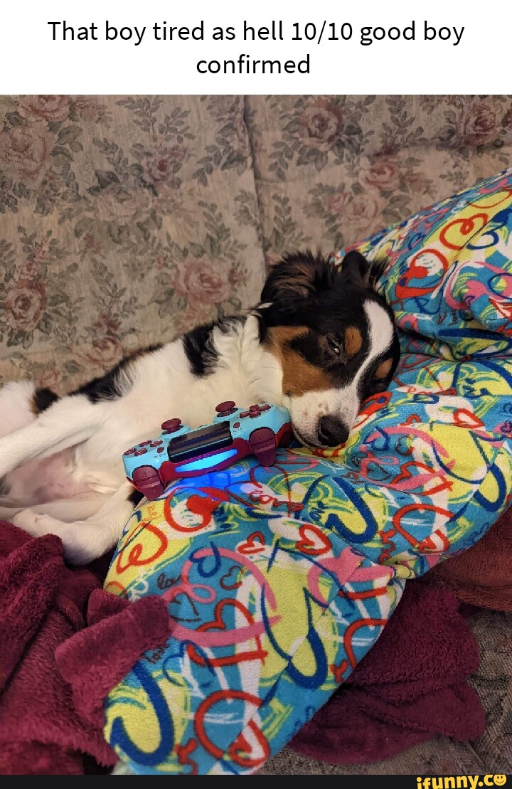 Confirmed memes. Best Collection of funny Confirmed pictures on iFunny