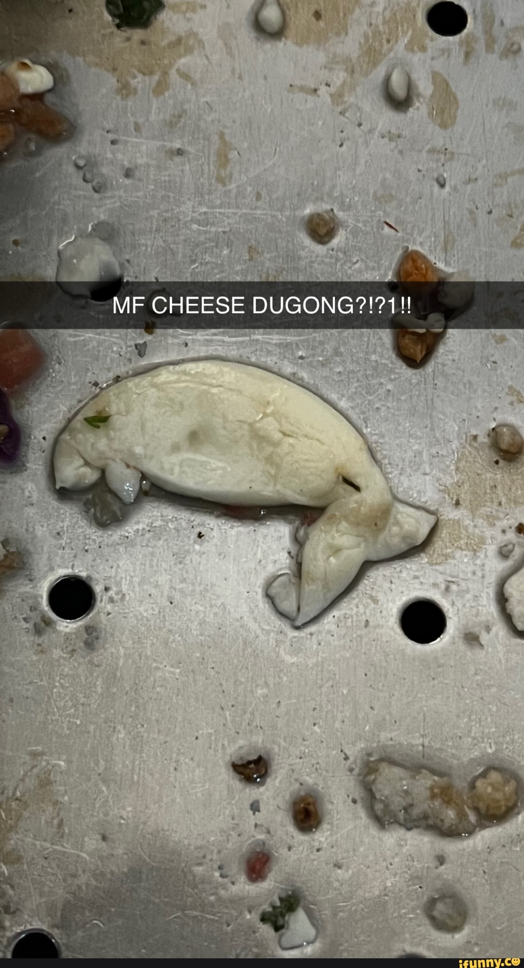 Dugong memes. Best Collection of funny Dugong pictures on iFunny