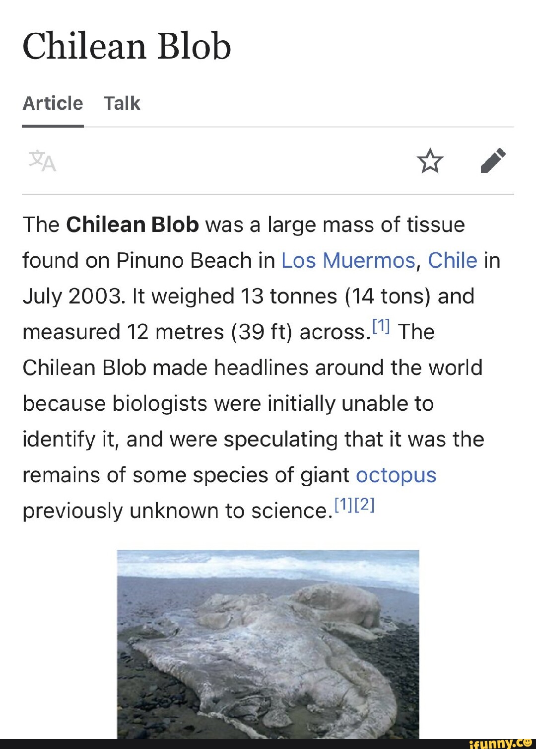 Beach memes. Best Collection of funny Beach pictures on iFunny