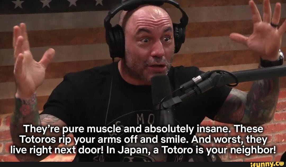Totoros memes. Best Collection of funny Totoros pictures on iFunny