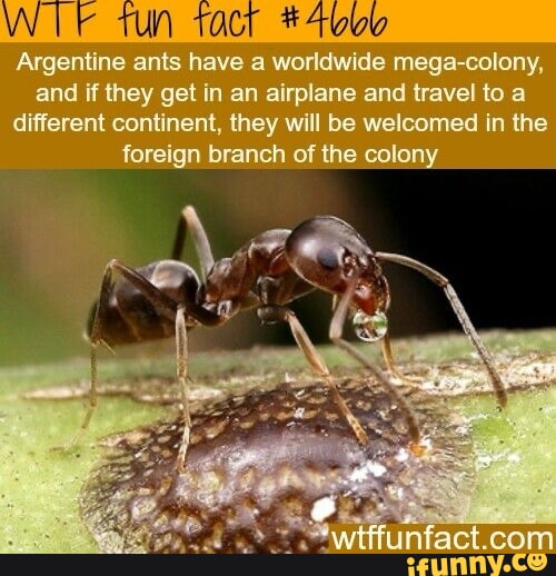 Artist: Emko stone - Artist: Emko stone - iFunny