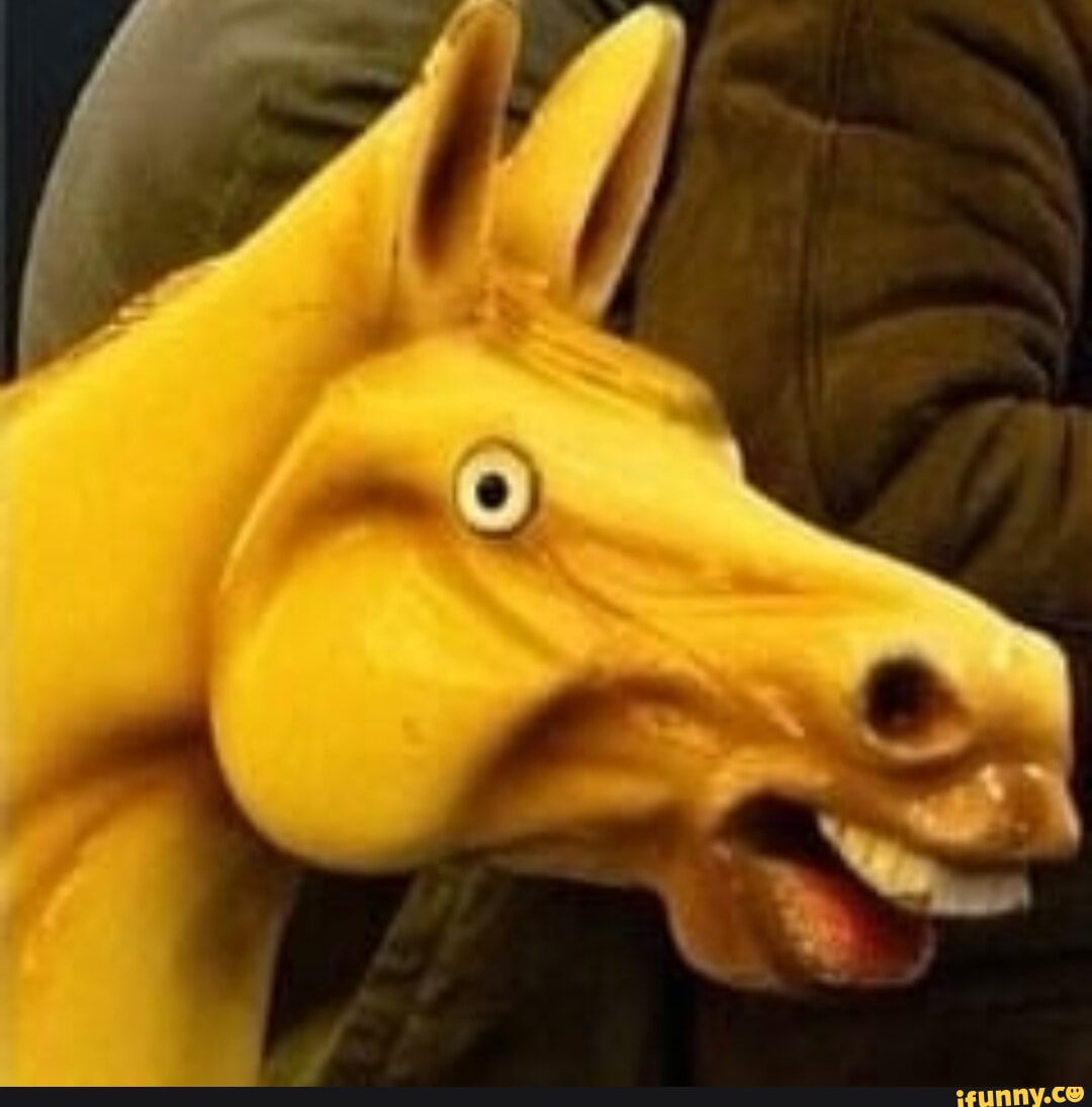 Dur memes. Best Collection of funny Dur pictures on iFunny