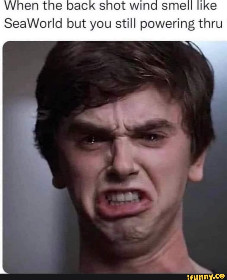 Seaworld memes. Best Collection of funny Seaworld pictures on iFunny