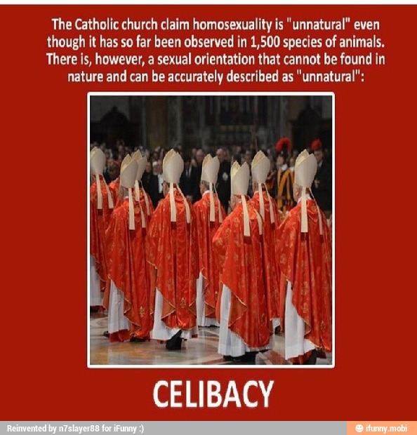 The Catholic Church Claim Homosexuality Is Unnatural Even Though It
