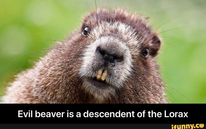 Evilbeaver memes. Best Collection of funny Evilbeaver pictures on iFunny