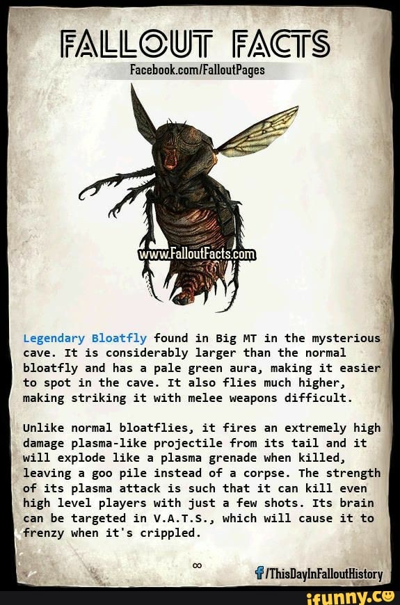 FALLOUT FACTS com) Legendary Bloatfly found in Big MT in the mysterious ...