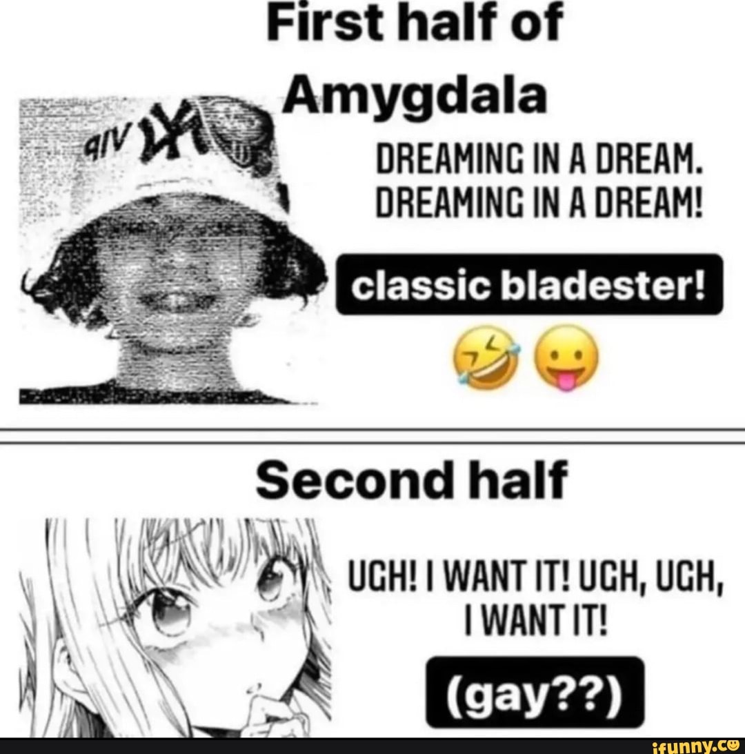 Amygdala memes. Best Collection of funny Amygdala pictures on iFunny