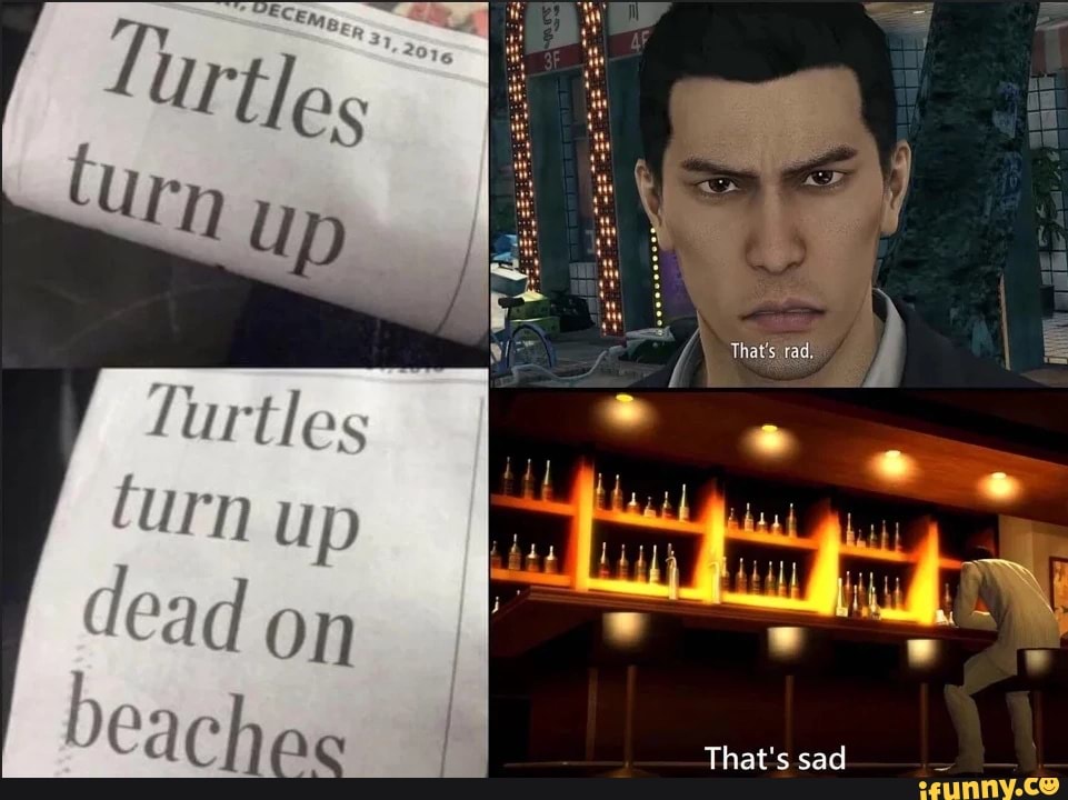 Up Turtles Up dead on beach That's sad - iFunny