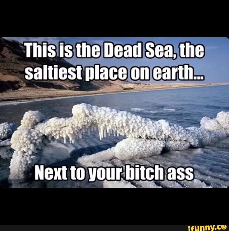 Bipper memes. Best Collection of funny Bipper pictures on iFunny