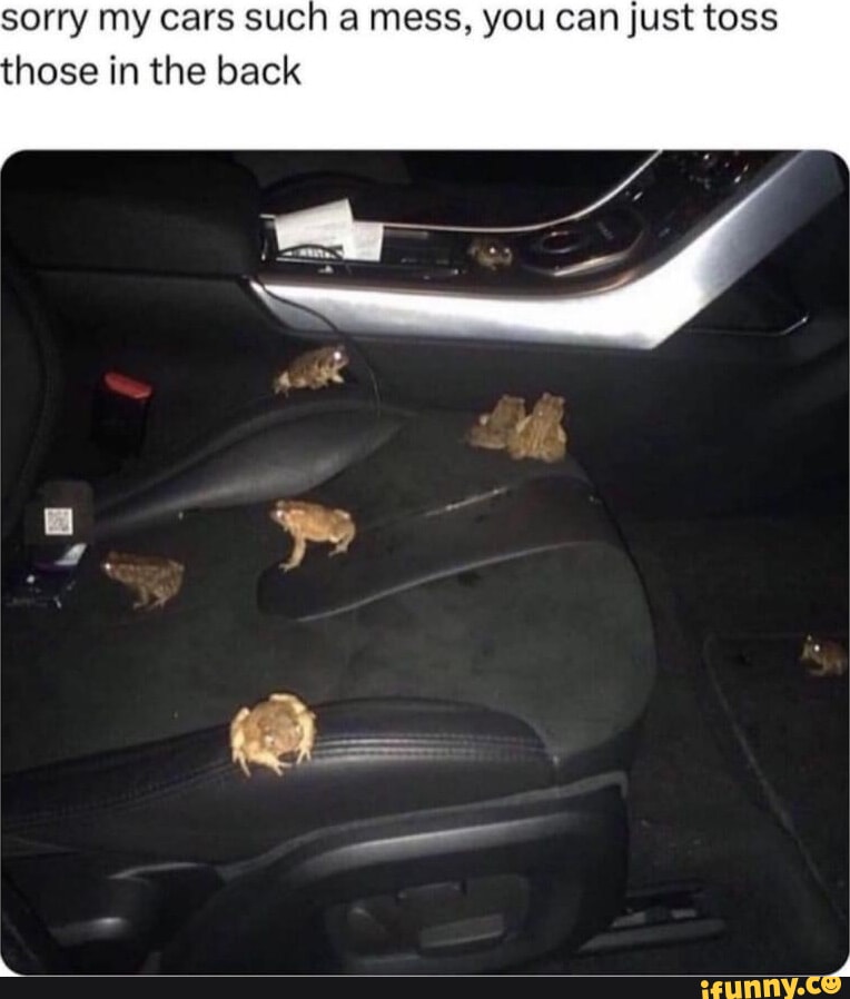 Sorry my cars such a mess, you can just toss hose in the back - iFunny