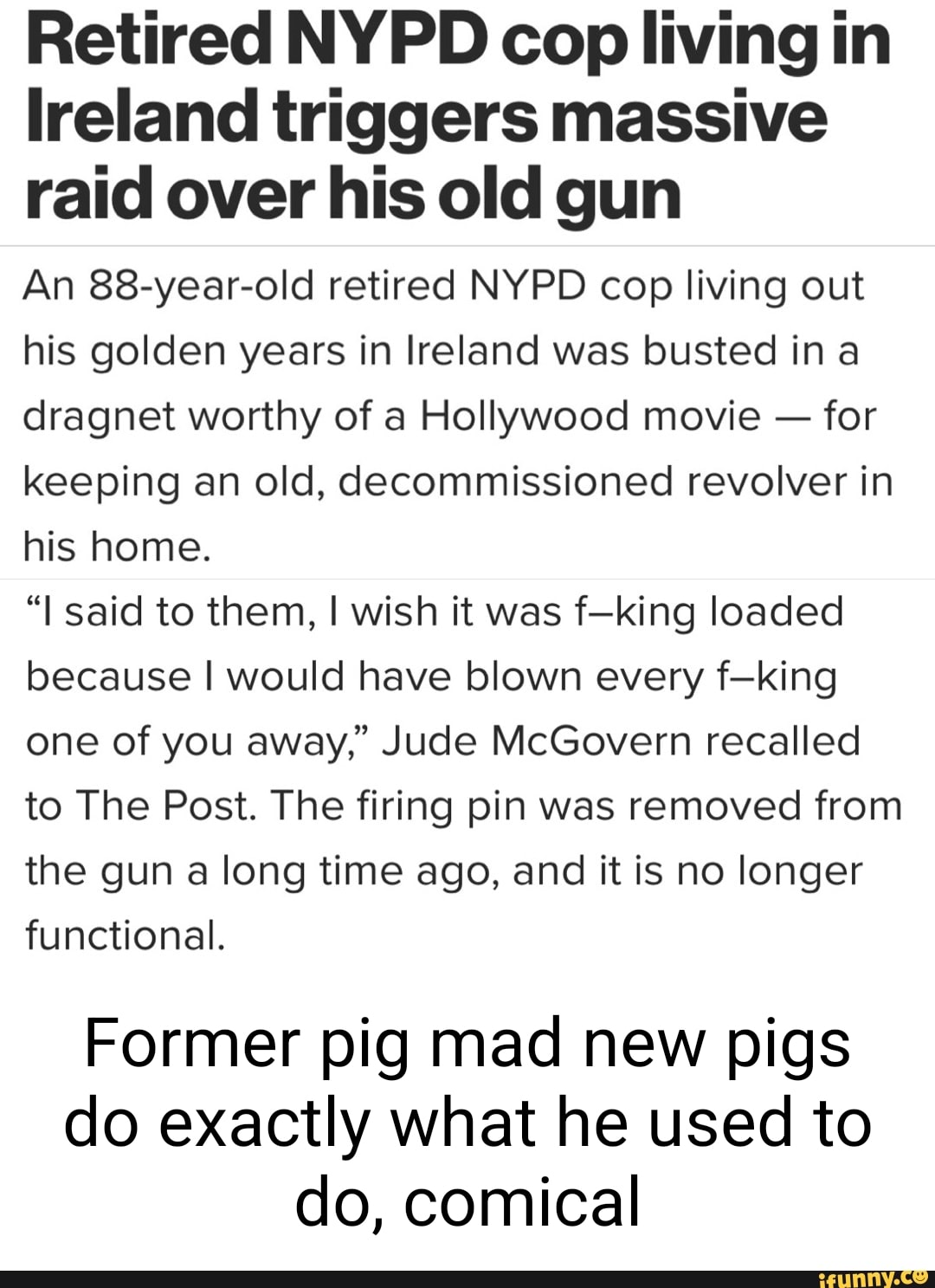 Retired NYPD cop living in lreland triggers massive raid over his old ...