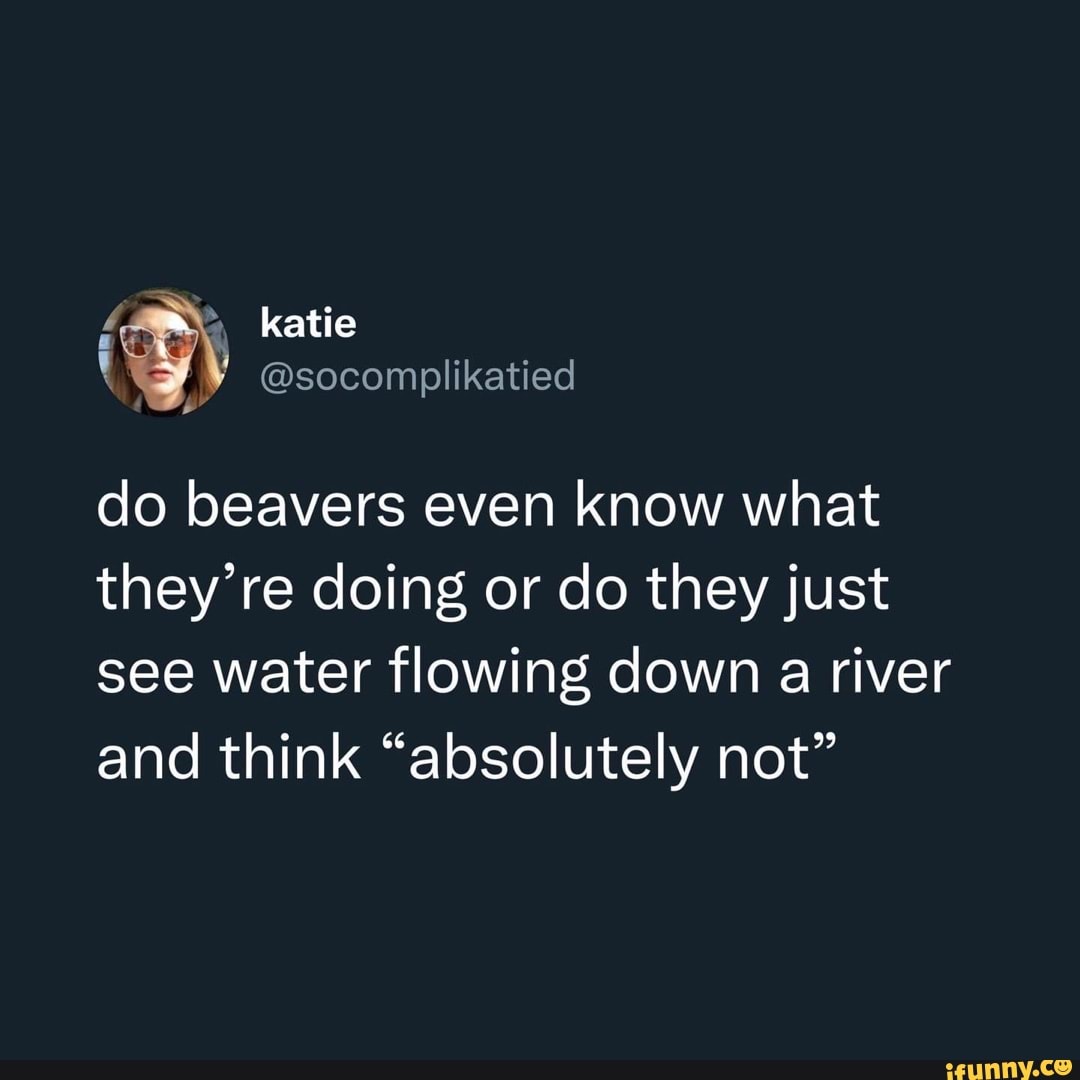 Katie @socomplikatied do beavers even know what they're doing or do ...